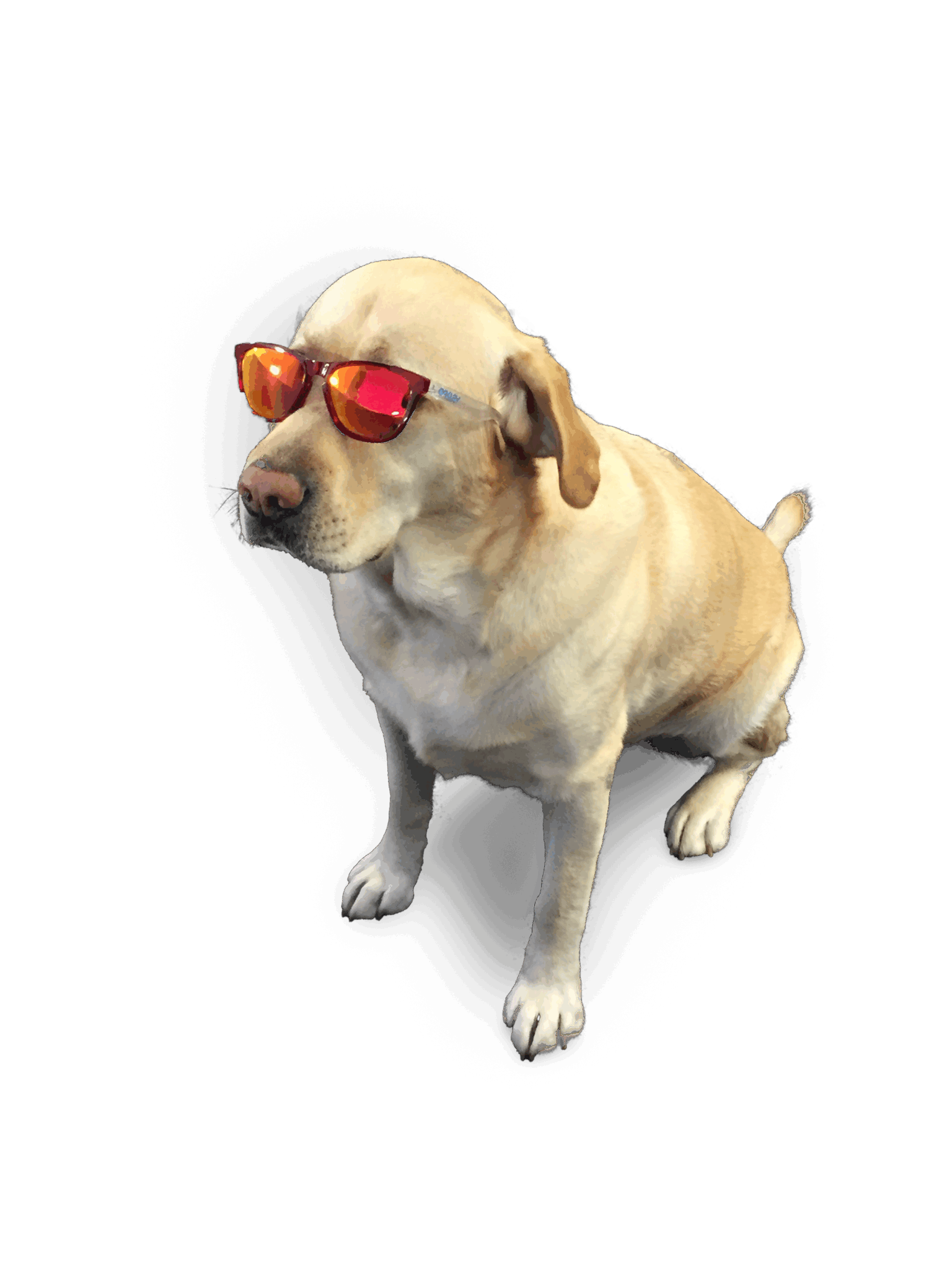 Welcome to Chilliwack Ford